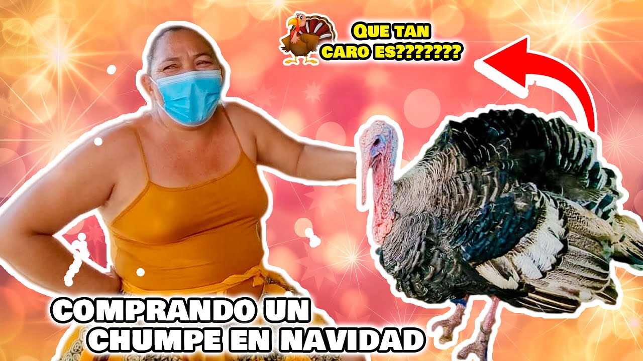 Ya está LISTO EL CHUMPE para la NAVIDAD 🎄🎄🦃🦃 - YouTube
