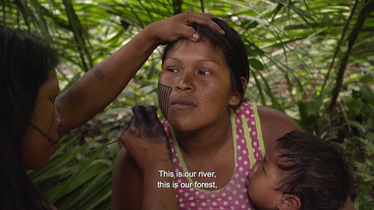 PROTECT THE RAINFOREST - HELP THE KAYAPO - YouTube