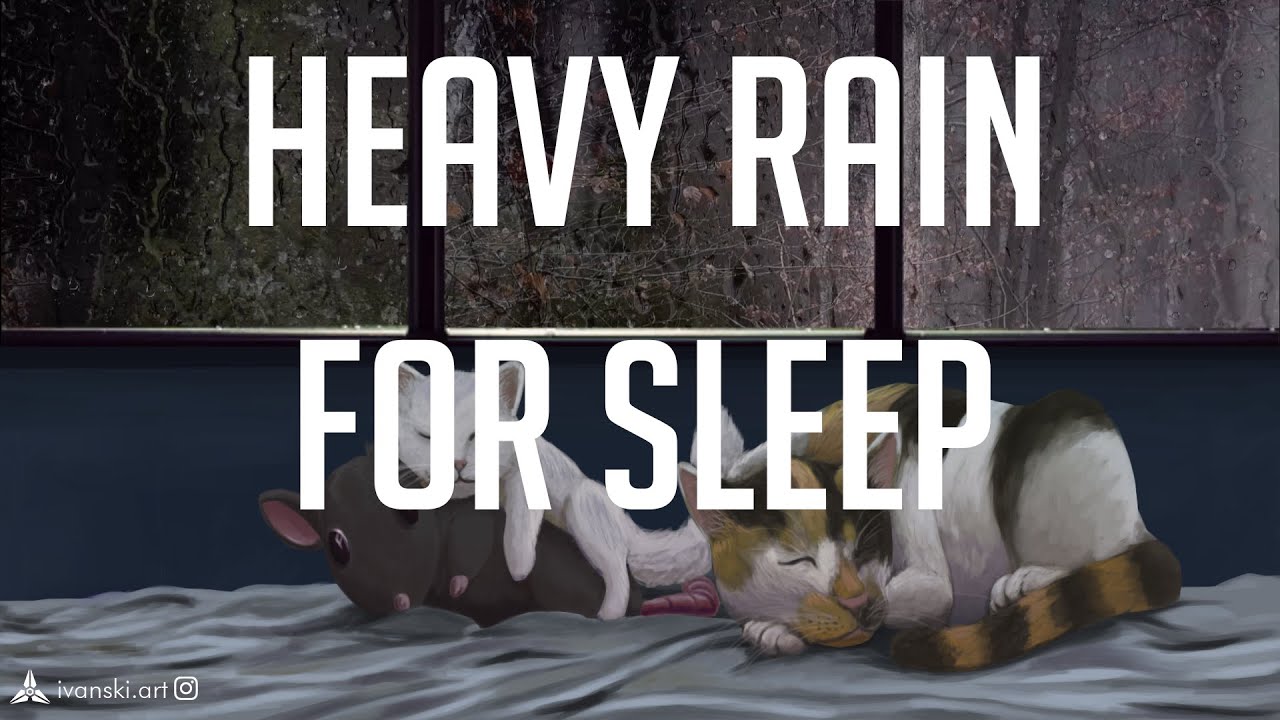 Cats sleeping (illustration) - Heavy rain for relax and sleep ! - YouTube