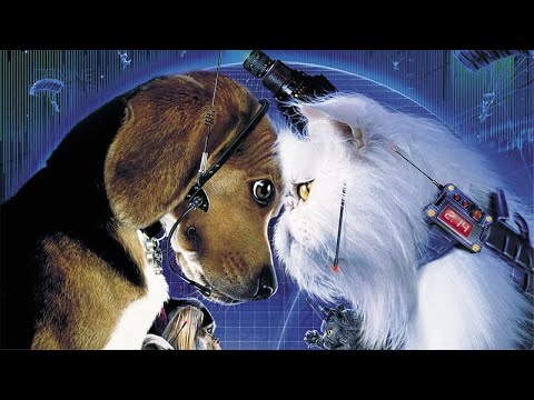 Como perros y gatos, (2001) trailer subtitulado al español latino