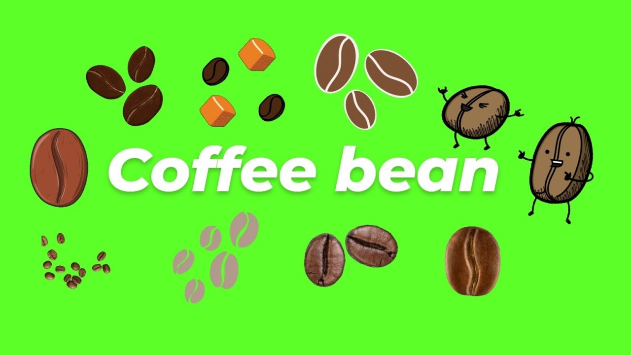 Animated Coffee Bean GIF Green Screen Pack (Free Download) - YouTube