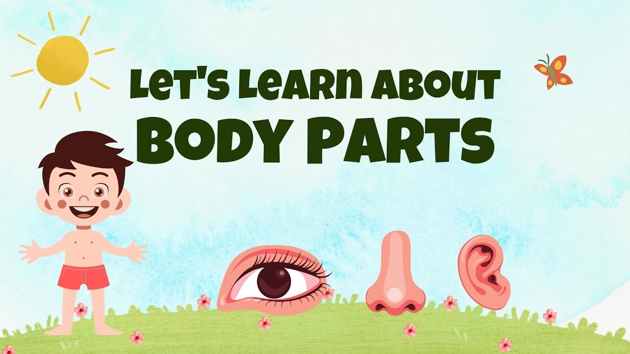 Learn Body Parts | Janv's Studio - YouTube