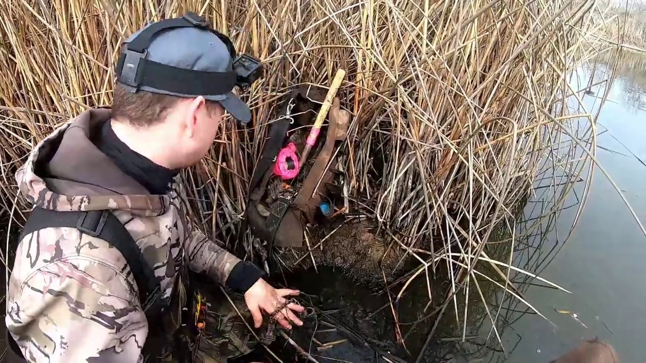 Spring Muskrat Trapping - YouTube