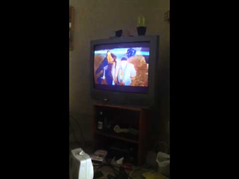 Home Alone 2 brick head scene - YouTube