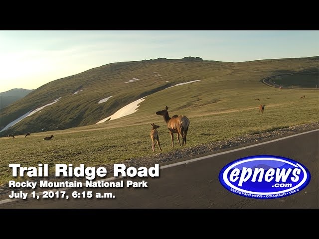 Trail Ridge Road July