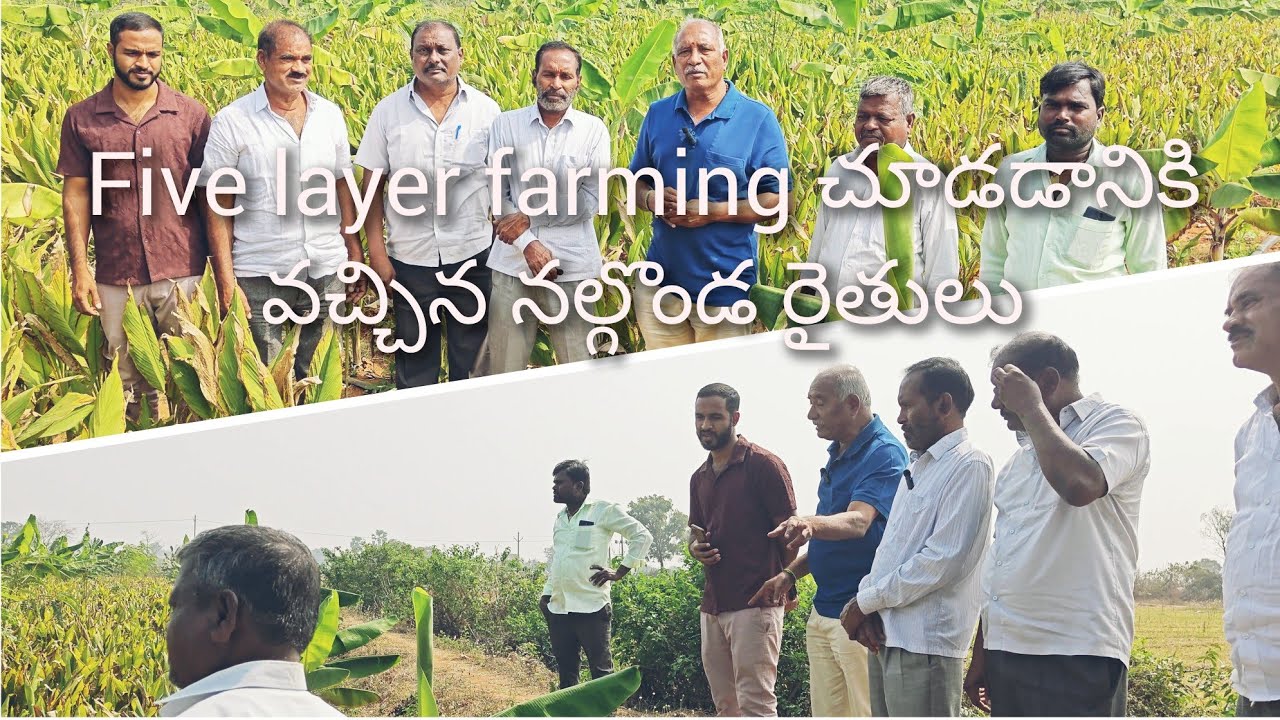 Five layer farming చూడ్డానికి వచ్చిన రైతులు 9371919369#spk#farming# ...