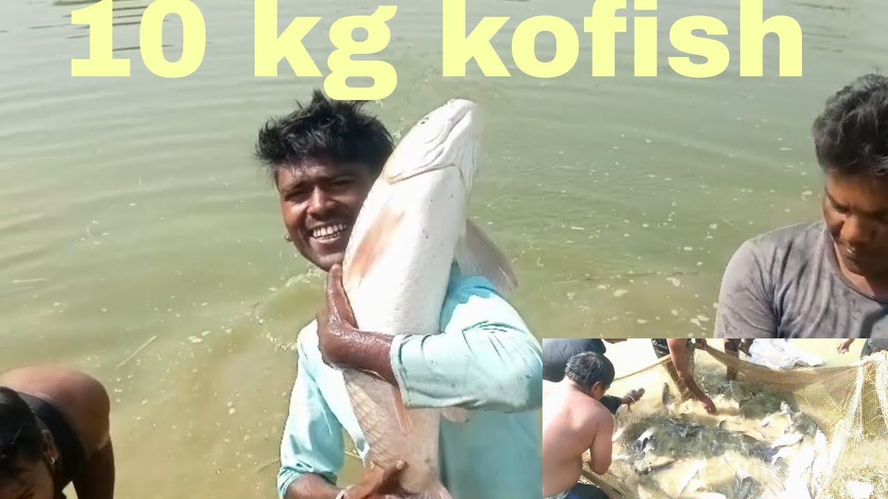 10kg ko fish#ytshorts Raghu bhai - YouTube