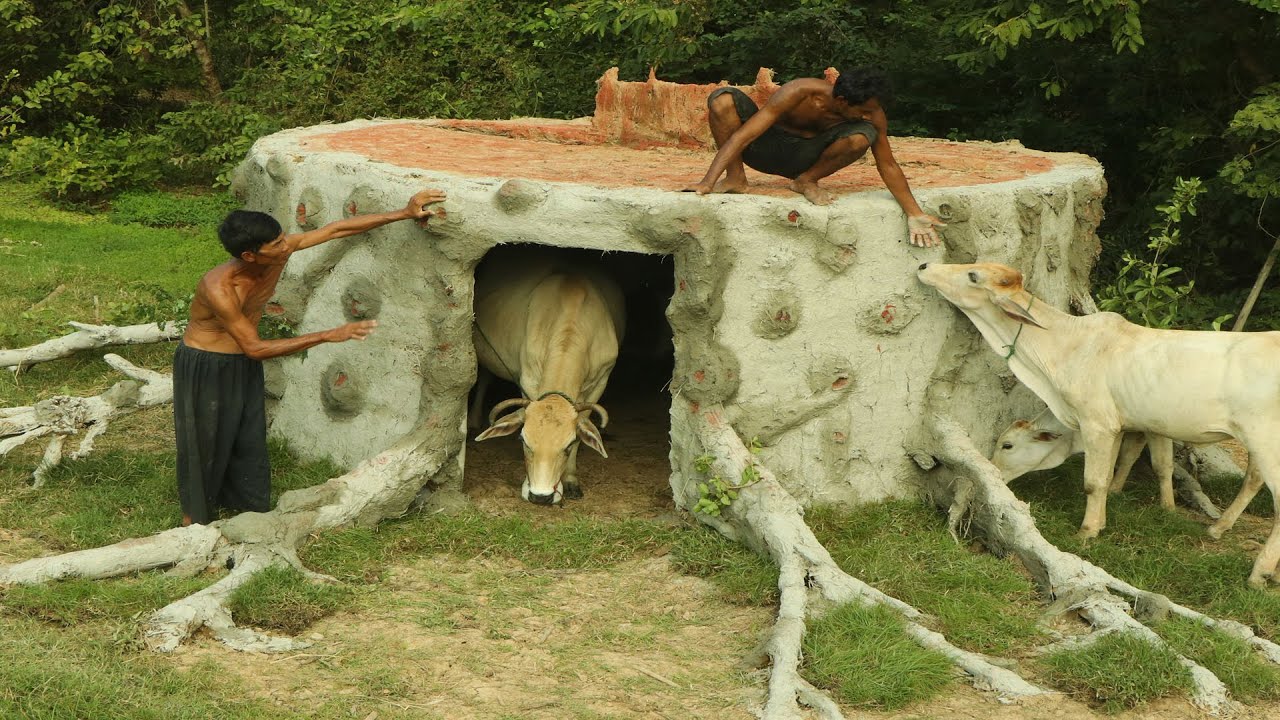 Building tree stump hut for cows by mud _ stump hut - YouTube
