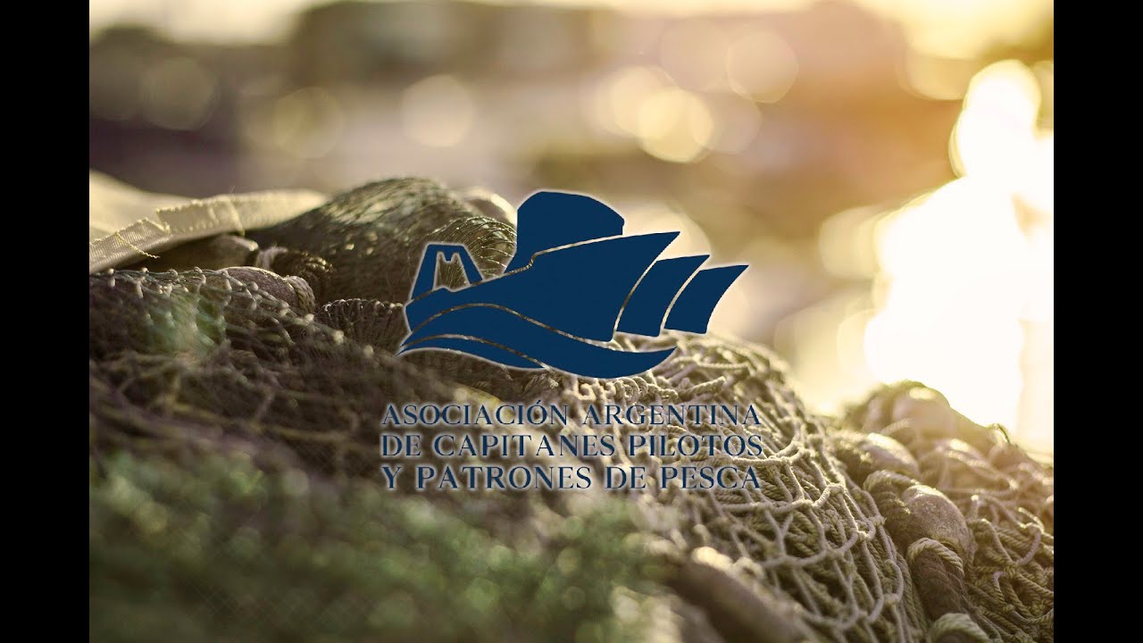 Transmisión en vivo de Marco Antonio Frontini - YouTube