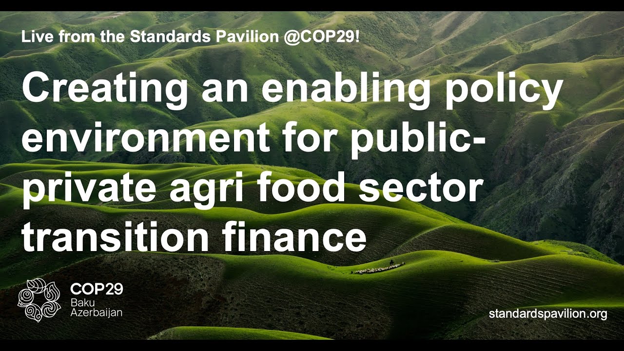 Creating an enabling policy environment for public-private agri food ...