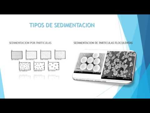 PROCESO DE SEDIMENTACION - YouTube