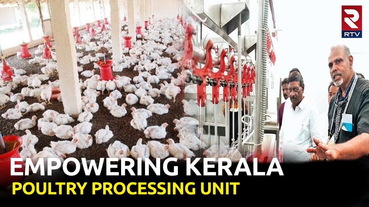 "Kerala's Poultry Processing Unit: A Step Towards Self-Reliance in ...