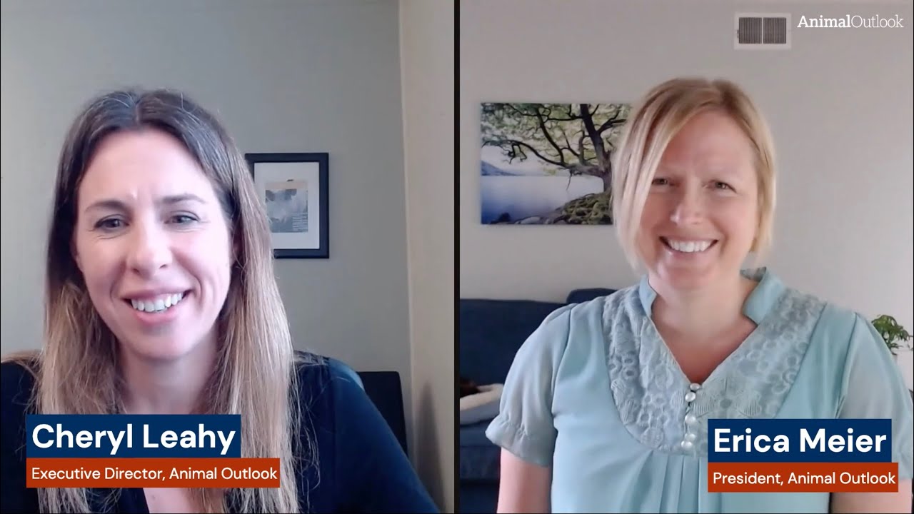 Cheryl Leahy & Erica Meier Talk: Corporate Engagement - YouTube
