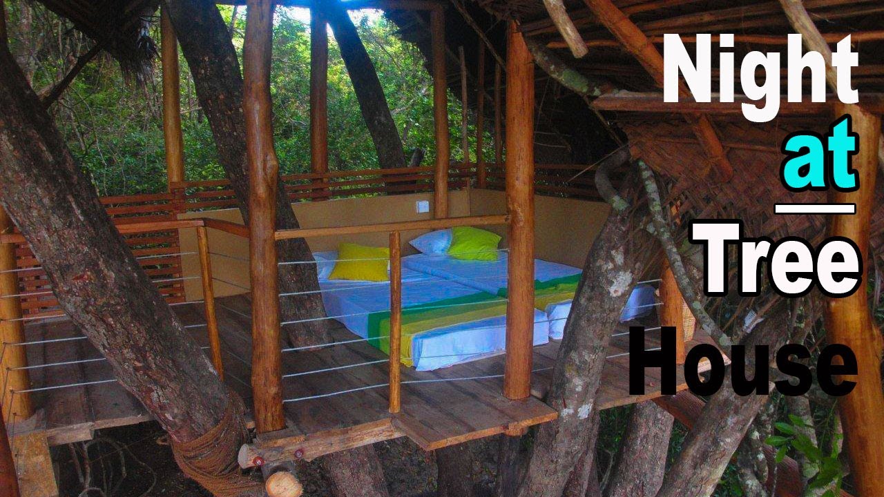 Night at a Tree House - YouTube