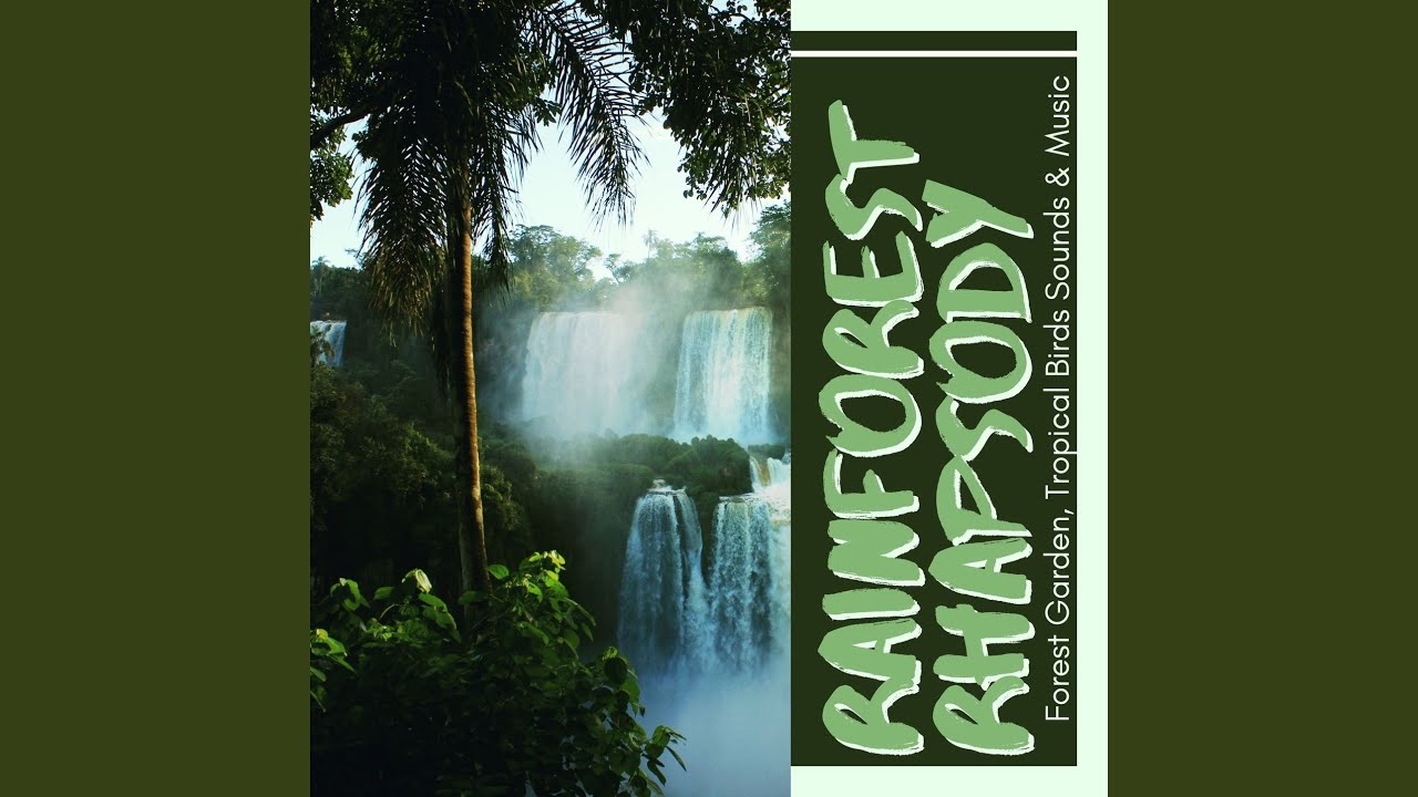 Calming Tropical Rainforest Sounds - YouTube