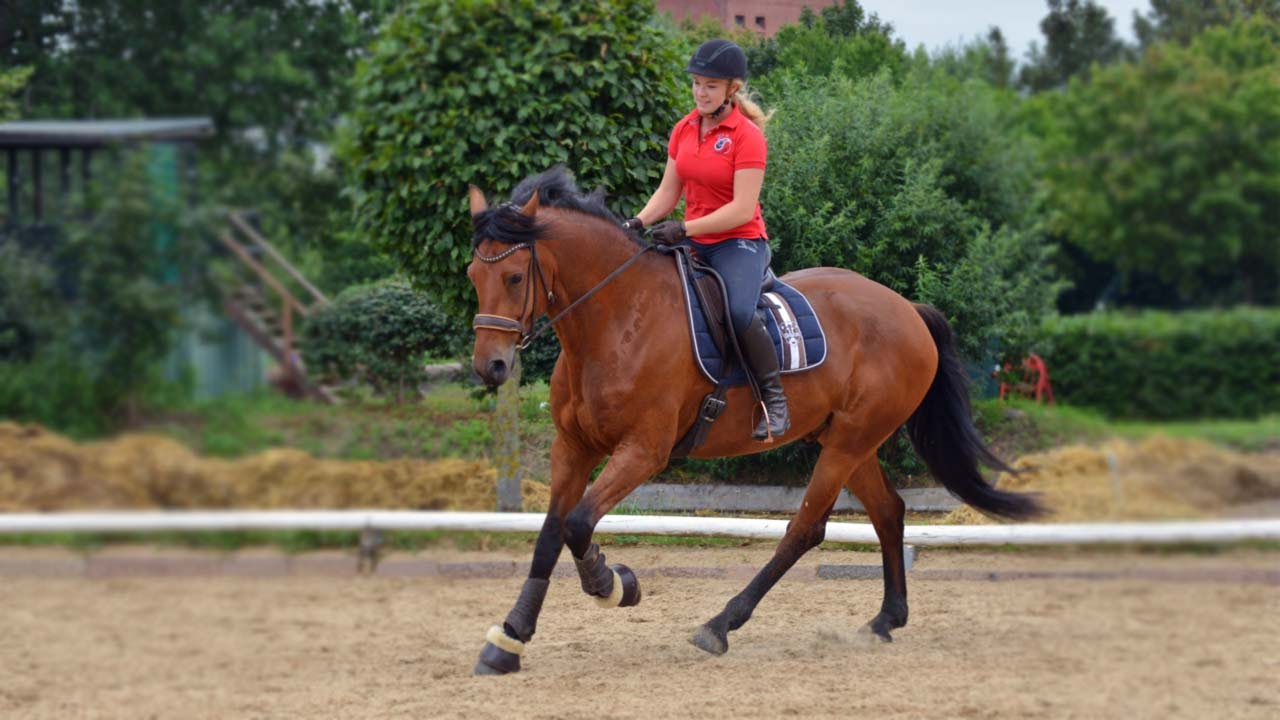 [FMA] Ich reite Samba - YouTube