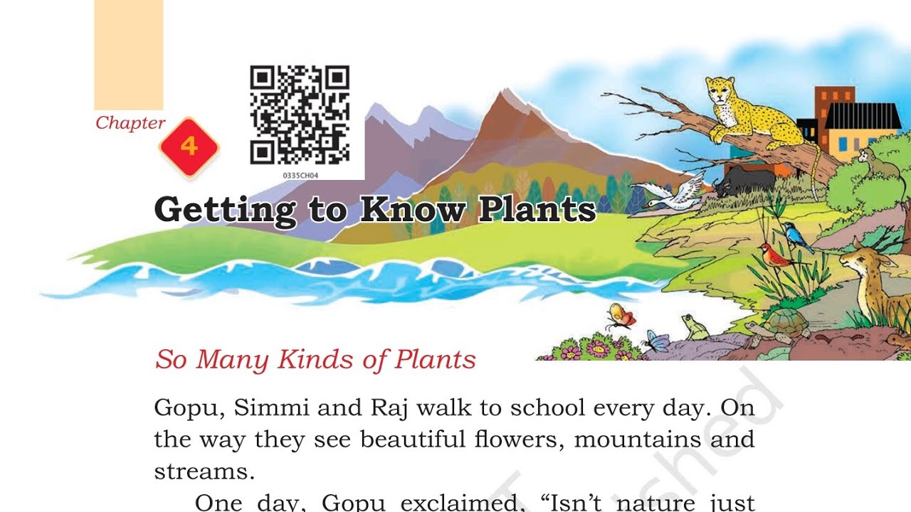 Class 3 || Unit- 2 || Chapter 4 - Getting to Know Plants (full ...