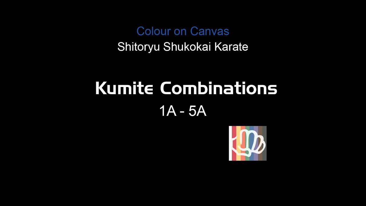 Shito-ryu Shukokai Karate: Kumite Combinations 1A - 5A - YouTube