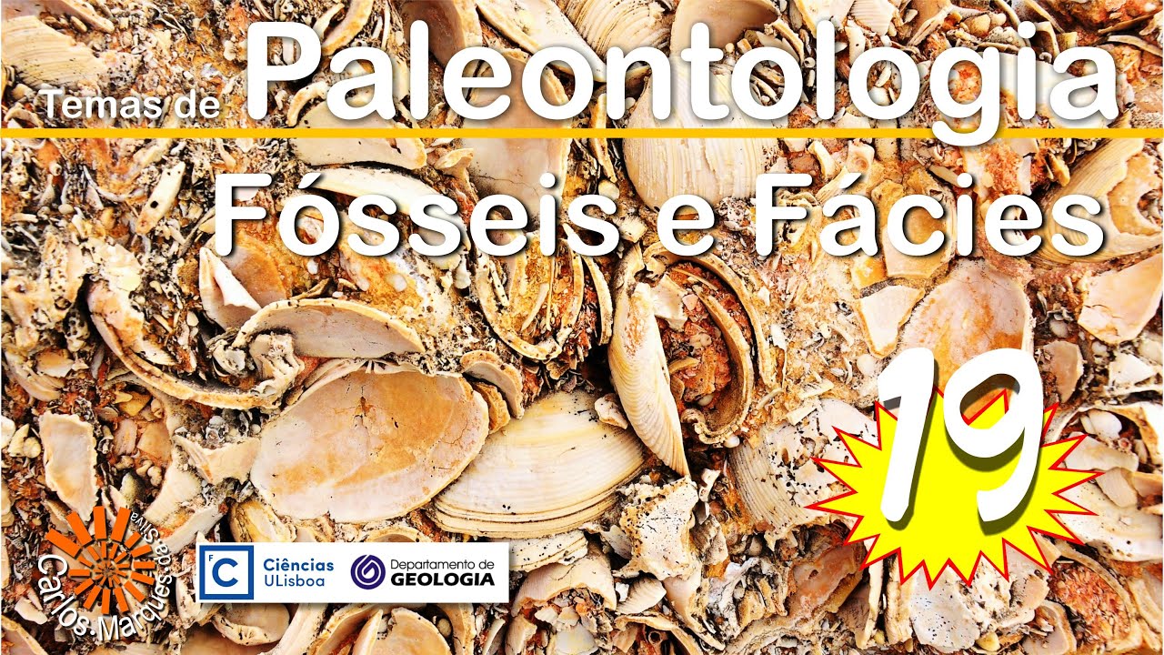 Temas de Paleontologia 19: Fósseis, Paleoambientes e Fácies - YouTube