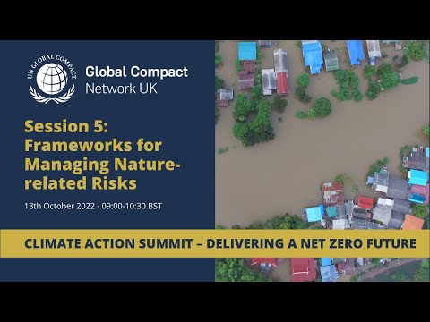 Climate Action Summit - Frameworks for Managing Nature-related Risks ...