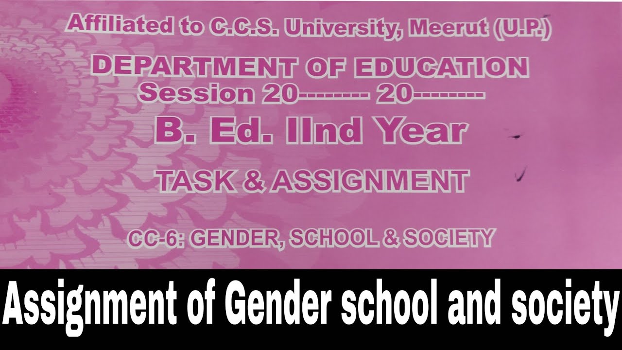Assignment of Gender school and society/gender school and society ...