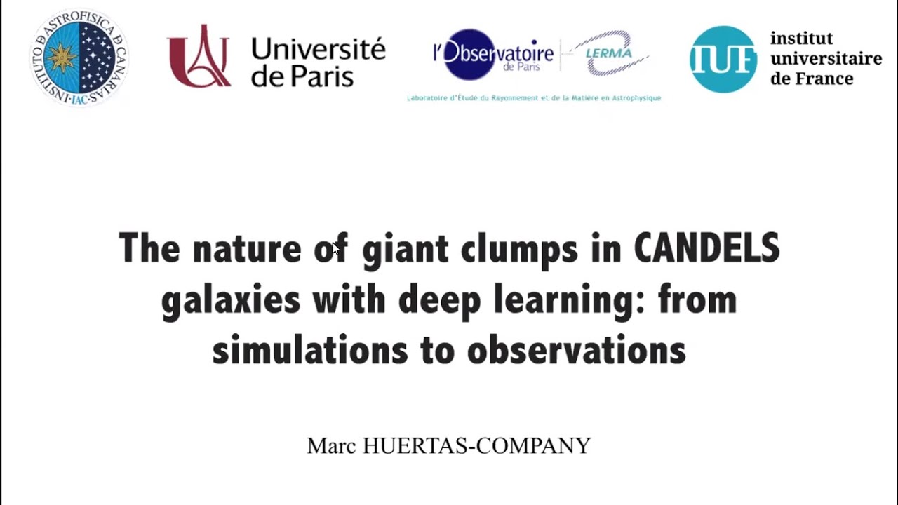 Marc Huertas-Company - The nature of giant clumps in CANDELS galaxies ...