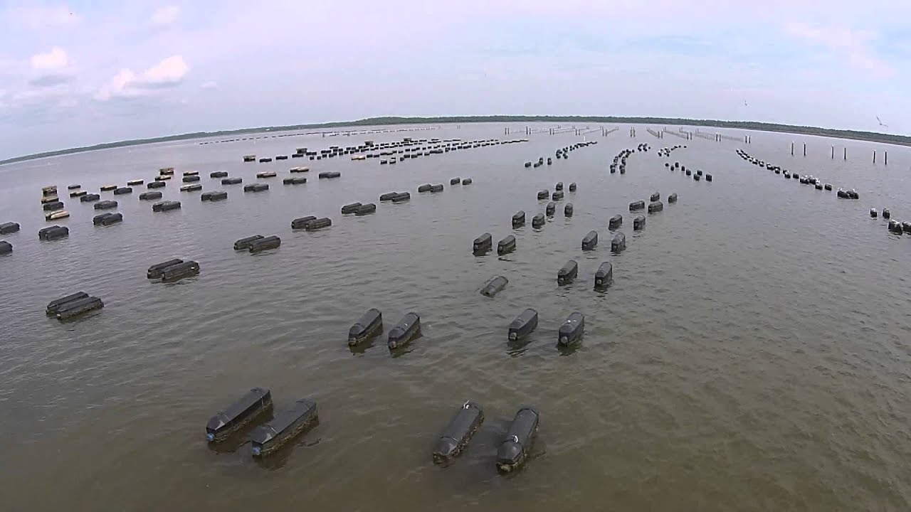 Floating, Sinkable, Flippable System (FSFS) - YouTube