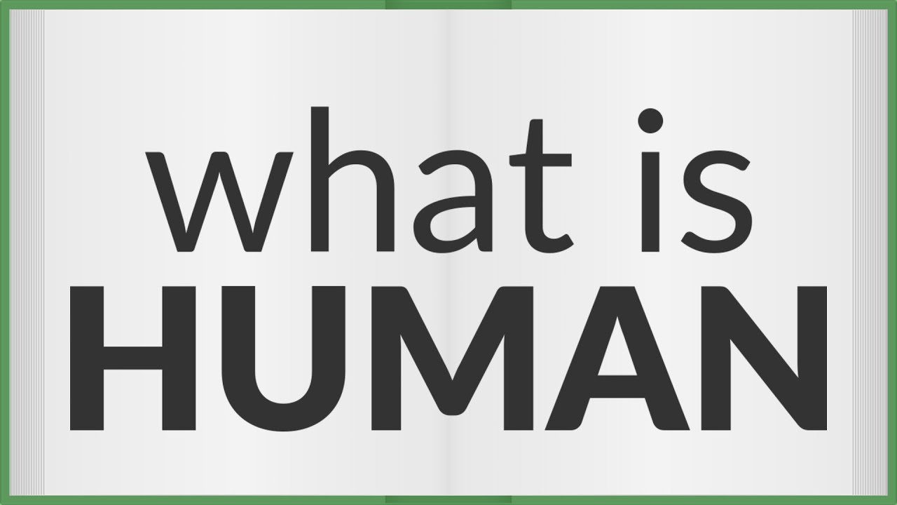 Human | meaning of Human - YouTube