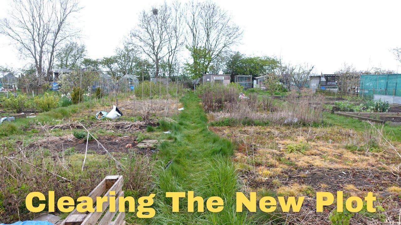 Clearing the New Allotment Plot - YouTube