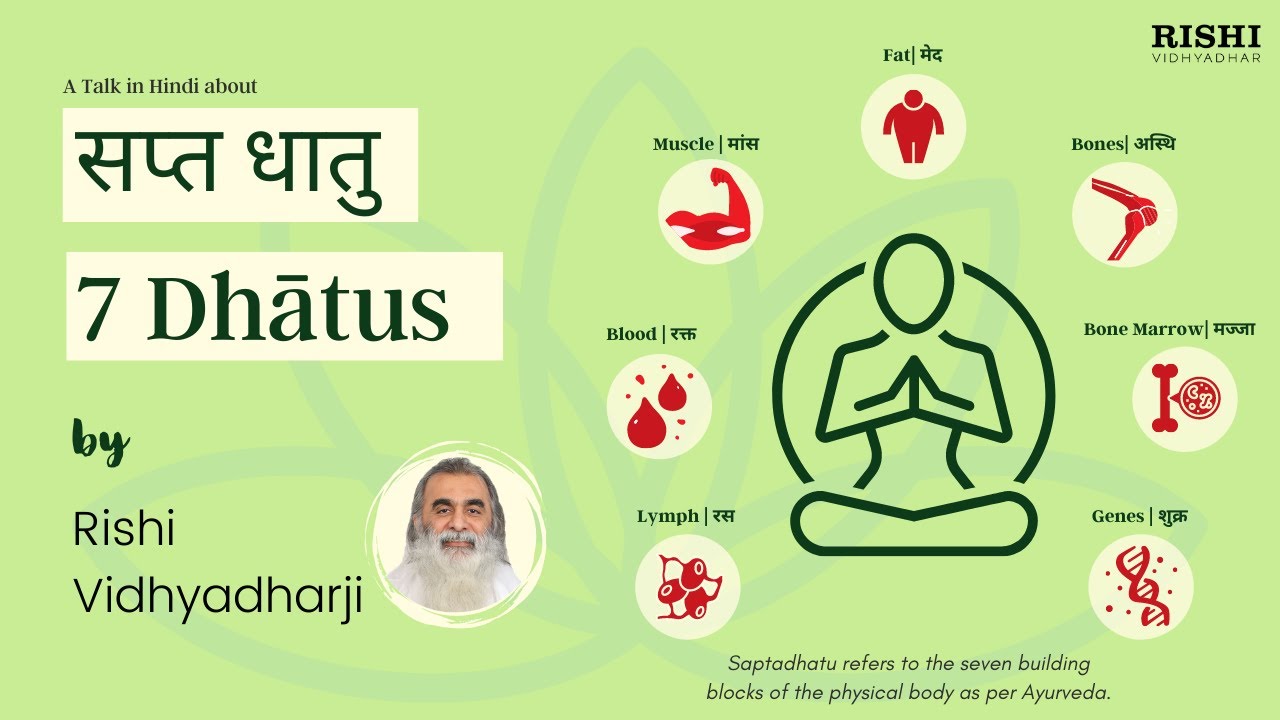 The 7 Dhātus of a Human Body | सप्त धातु | Hindi - YouTube