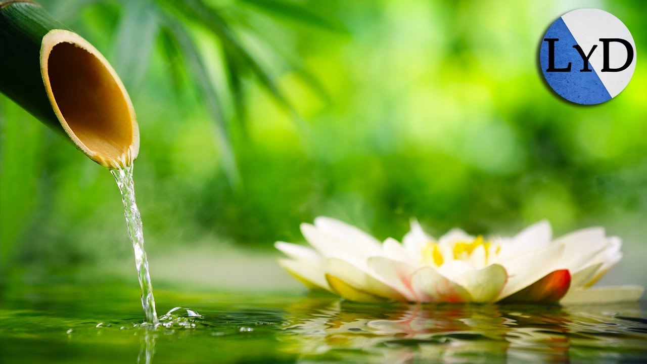 Música Relajante | Música para Dormir y Relajarse | Música de ...