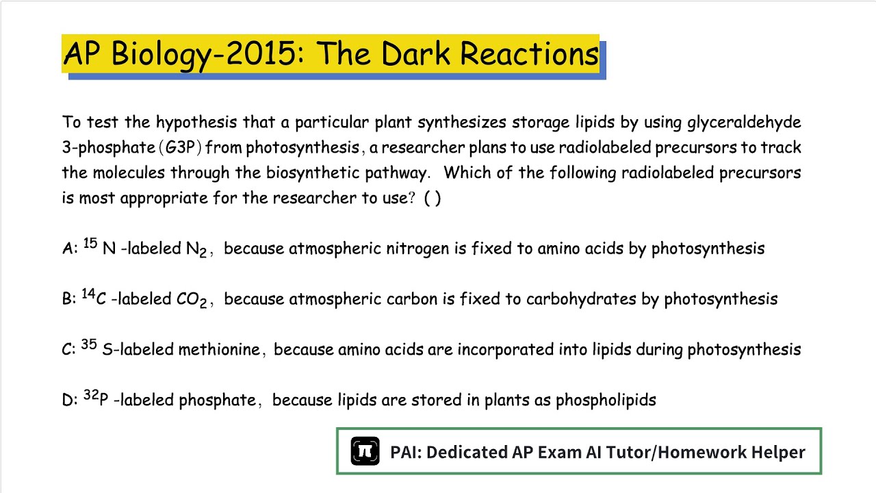 2015 AP Biology: The Dark Reactions: Photosynthesis - YouTube