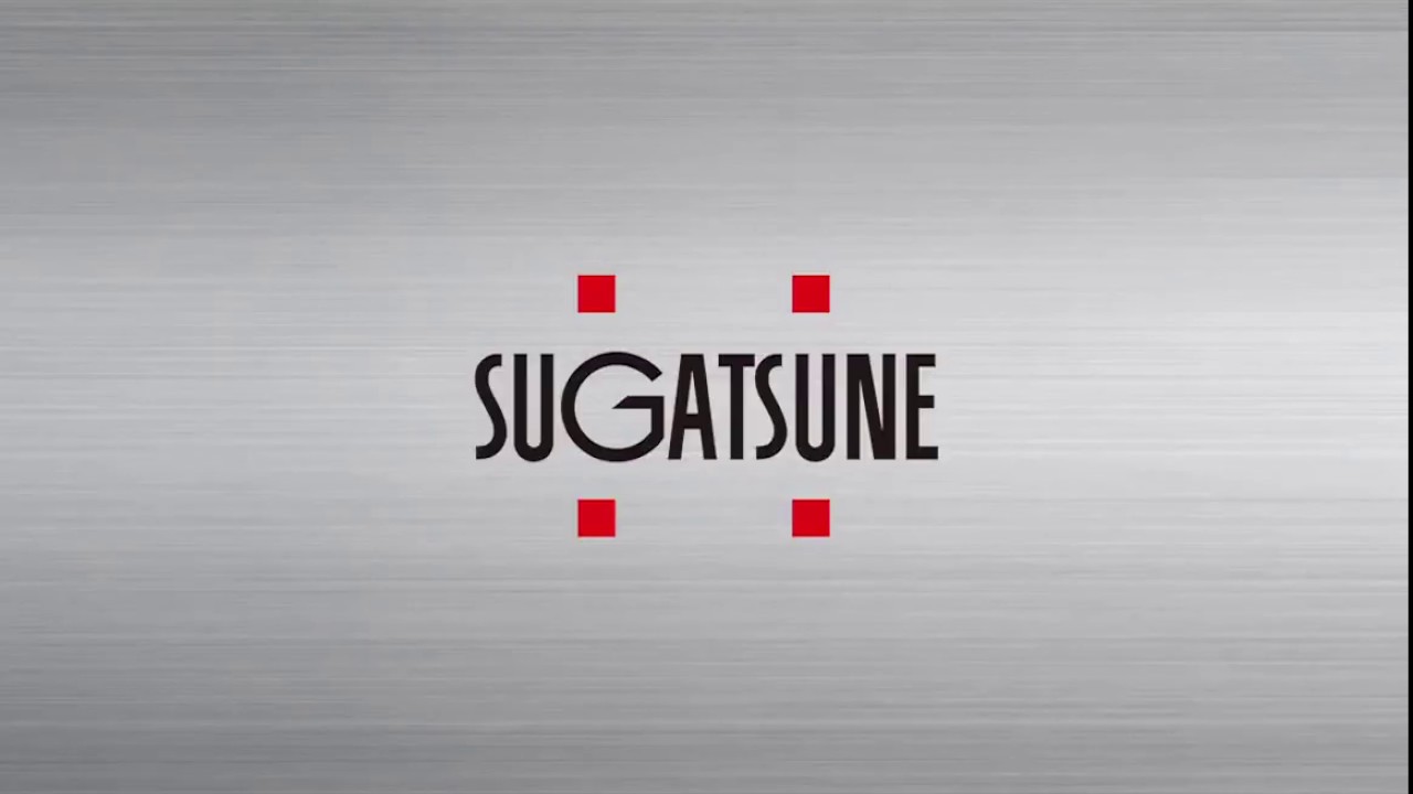 HG T70S30 Dual Axis Torque Hinge by Sugatsune - YouTube
