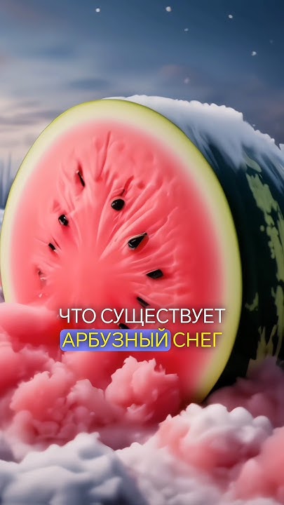 арбузный снег - YouTube