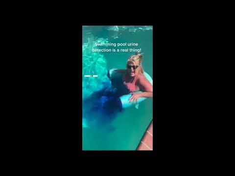 Karen Pees in Pool #karensinthewild #karen #karensgonewild