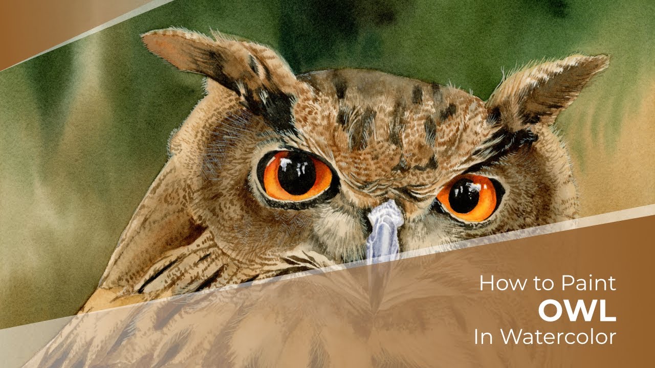 How to Paint an Owl in Watercolor - Tutorial Preview - YouTube