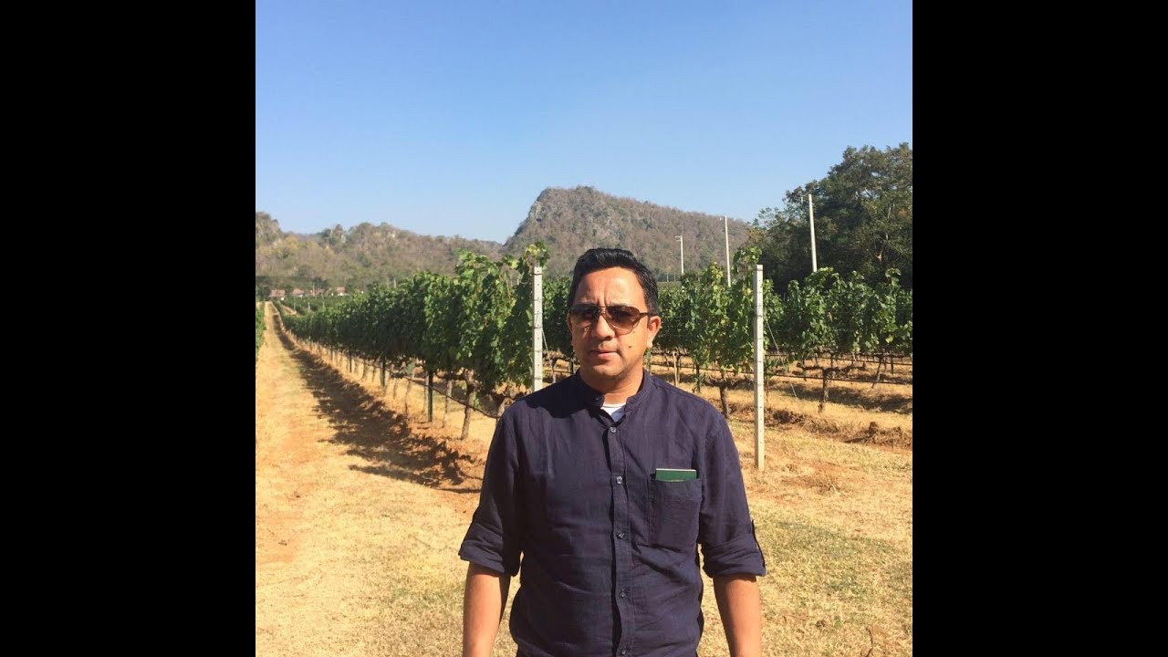 CEO at Subisu CableNet Pvt. Ltd, Binay Mohan Saud - YouTube