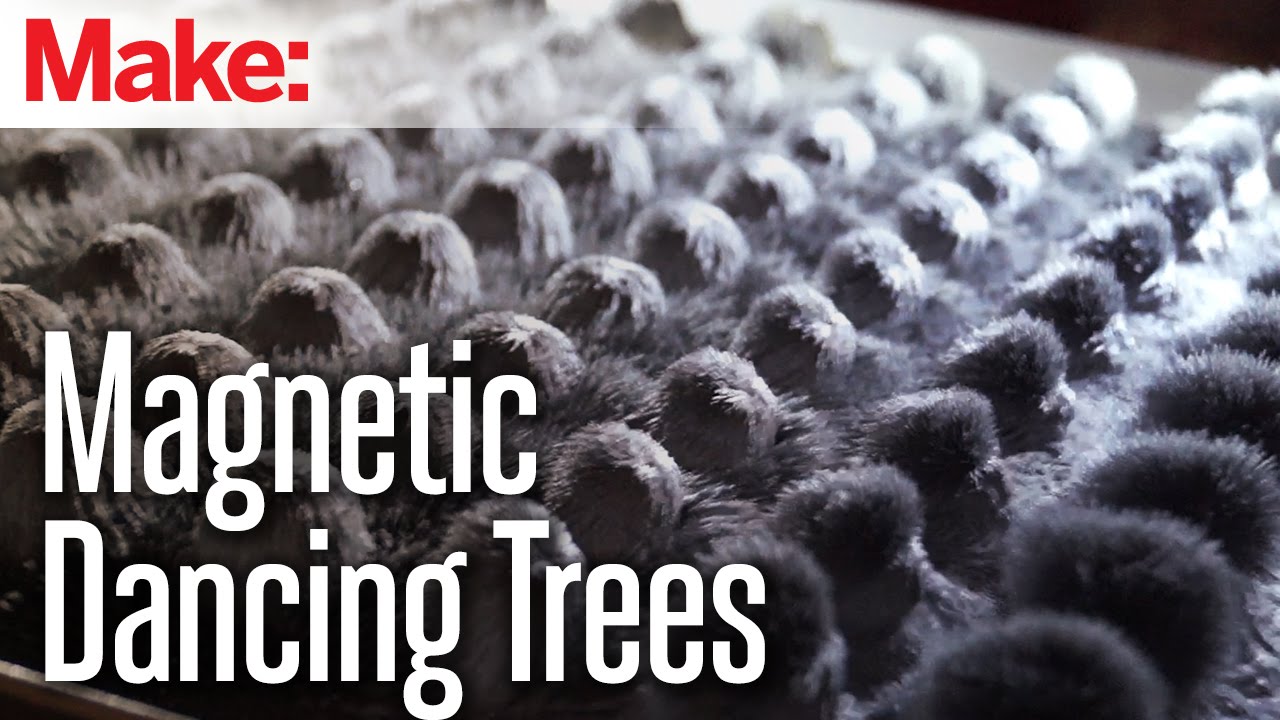Magnetic Dancing Trees - YouTube