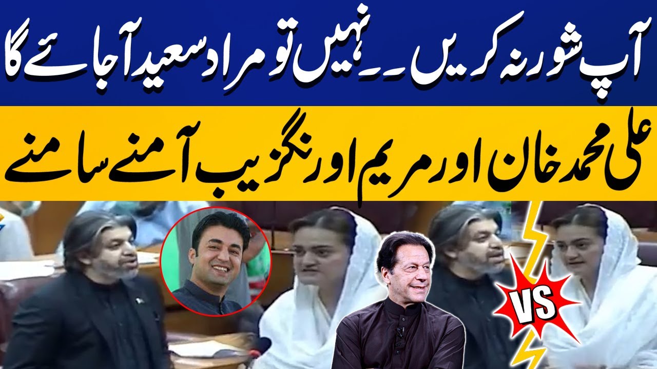 Maryam Aurangzeb VS Ali Muhammad Khan Heated Debate in National ...