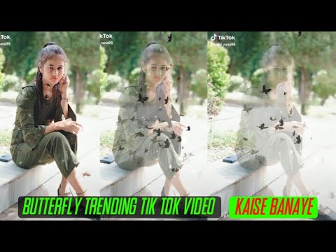 How To Make Trending Tik Tok Video || Butterfly Effect Tik Tok Video ...