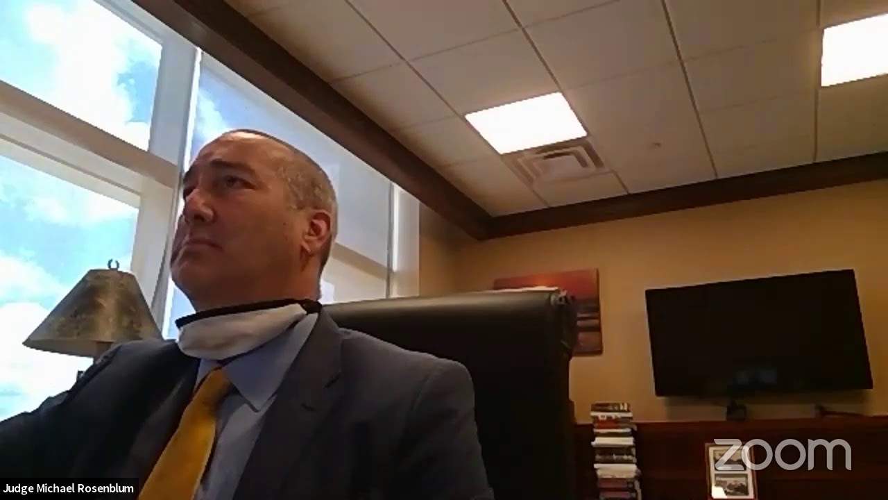 Judge Michael Rosenblum's Zoom Meeting - YouTube