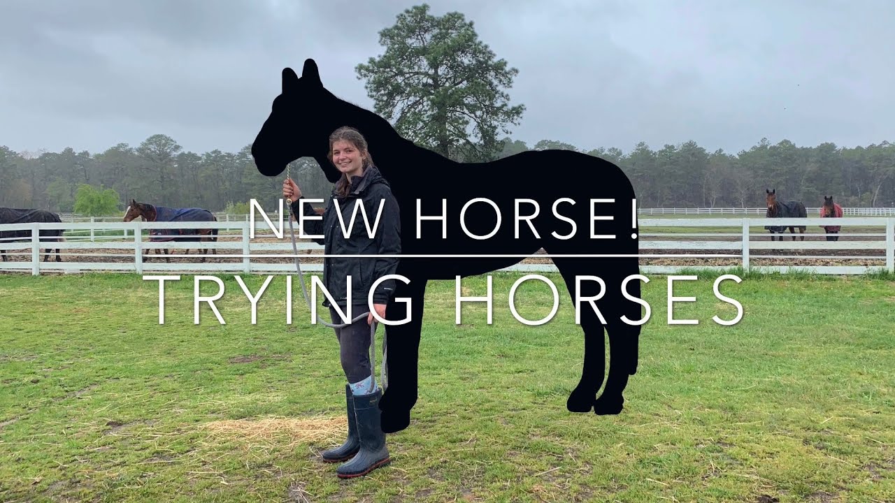 Trying horses! Spring 2020 - YouTube