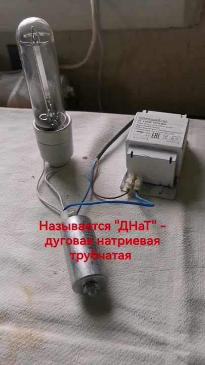 Как выглядит лампочка уличного фонаря и что она требует для работы? # ...