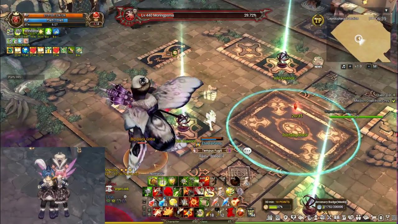 [Tree Of Savior] Lepidoptera Junction Legend Solo Stage 5 No Star Ark ...