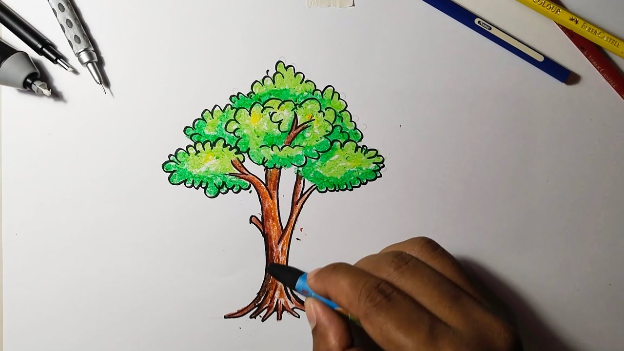 Cara Mudah Menggambar Pohon - YouTube