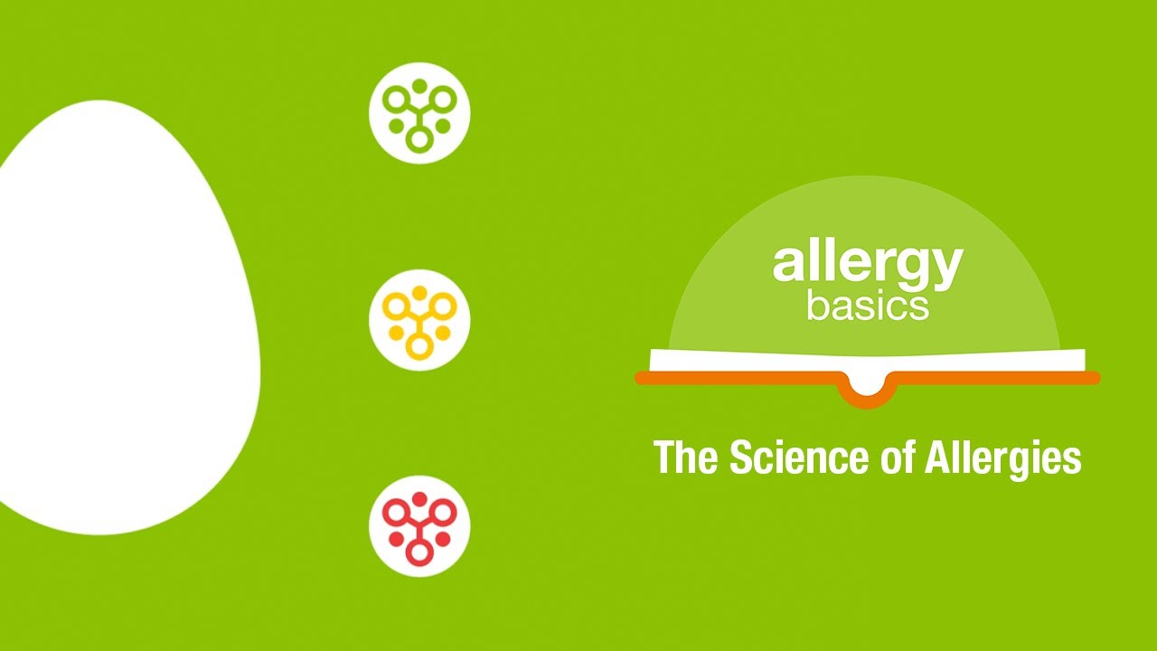 The Science of Allergies | Allergy Insider - YouTube