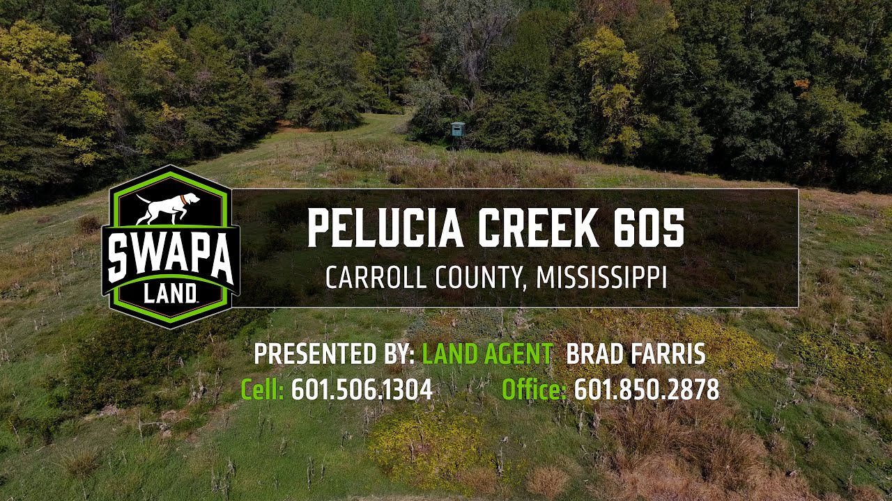 Pelucia Creek 605 | SWAPA Land - YouTube