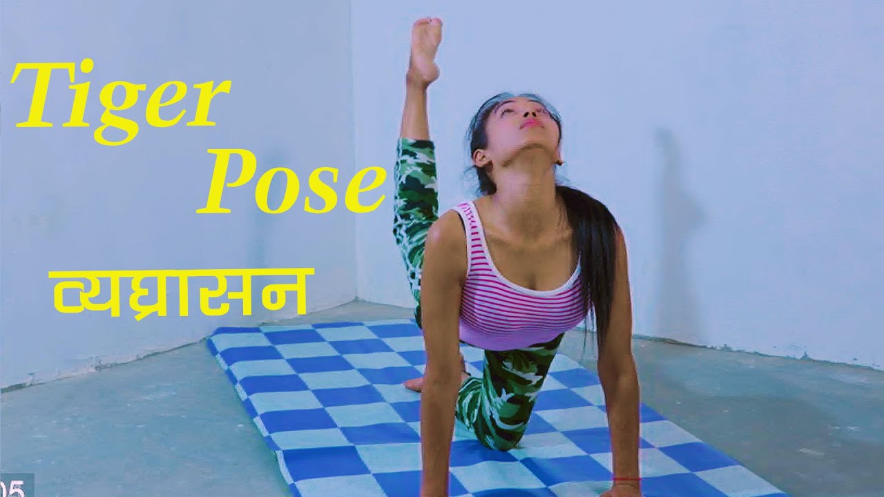 Tiger Pose Yoga | All Yoga Pose | Yoga For Beginners To Advance | Sexy ...