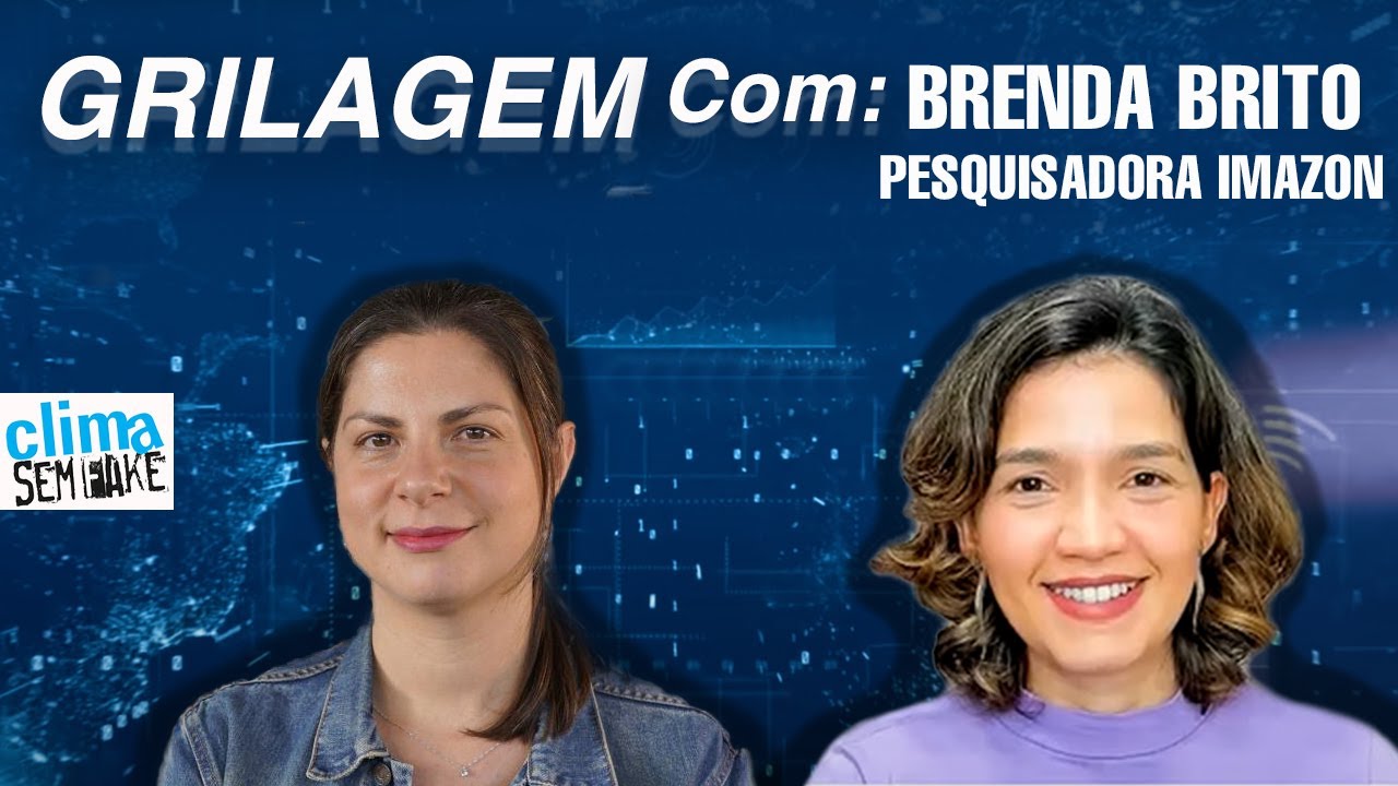 O que é Grilagem? | #ClimaSemFake entrevista Brenda Brito - YouTube