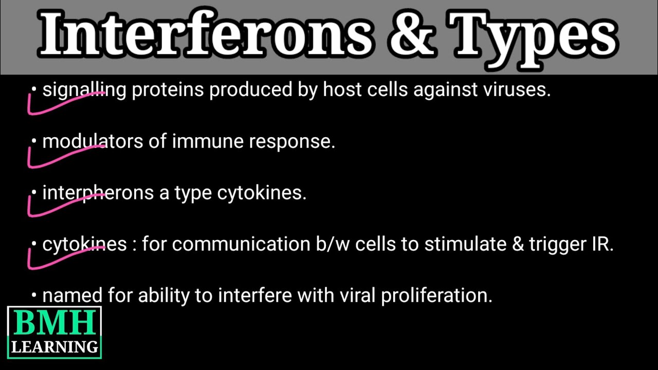 Interferons | Types Of Interferons | INF Alpha | INF Beta | INF Gamma ...